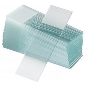 PORTAOBJETOS - BiosLabChile